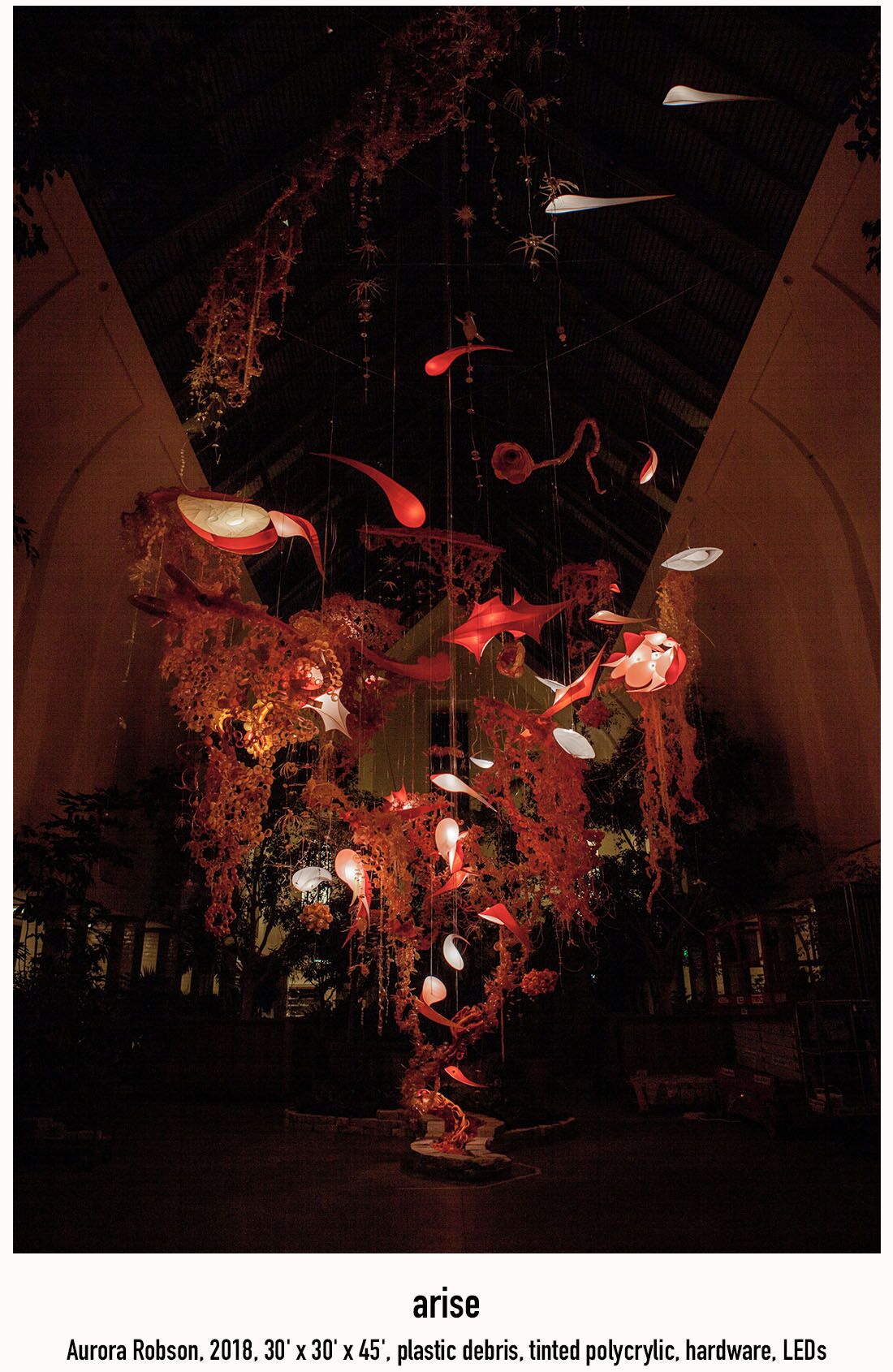 The Extraordinary World of Recycled Materials